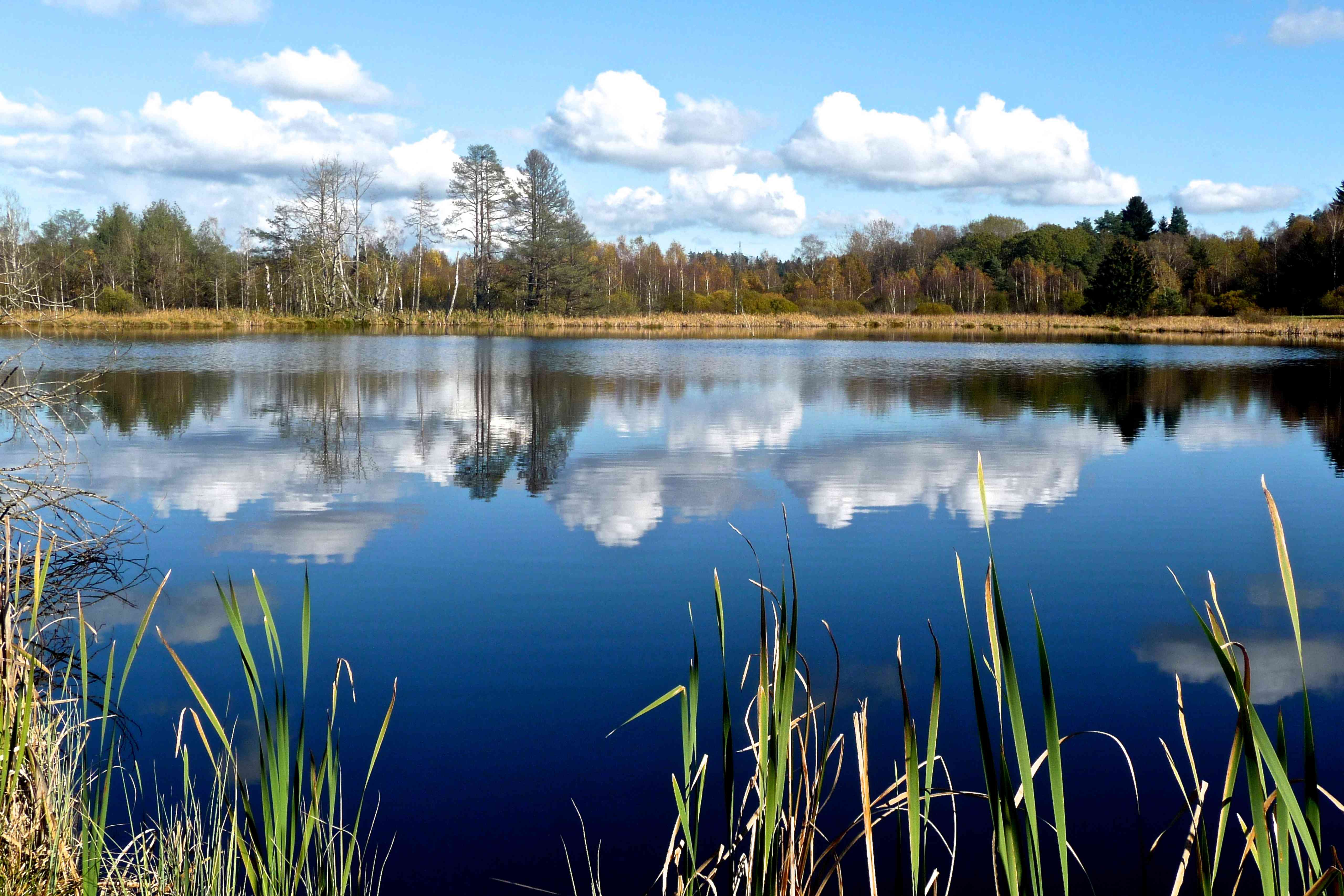 Wann liegt eine doppelte Haushaltsführung vor? » Kny & Kny ...